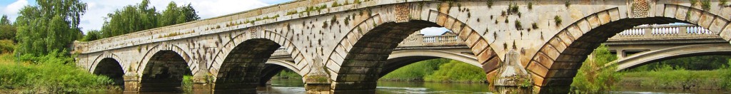 Cintec Anchor System - Cintec